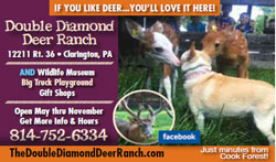 Cook Forest Vacation Bureau || Cook Forest & Clear Creek - Cooksburg PA