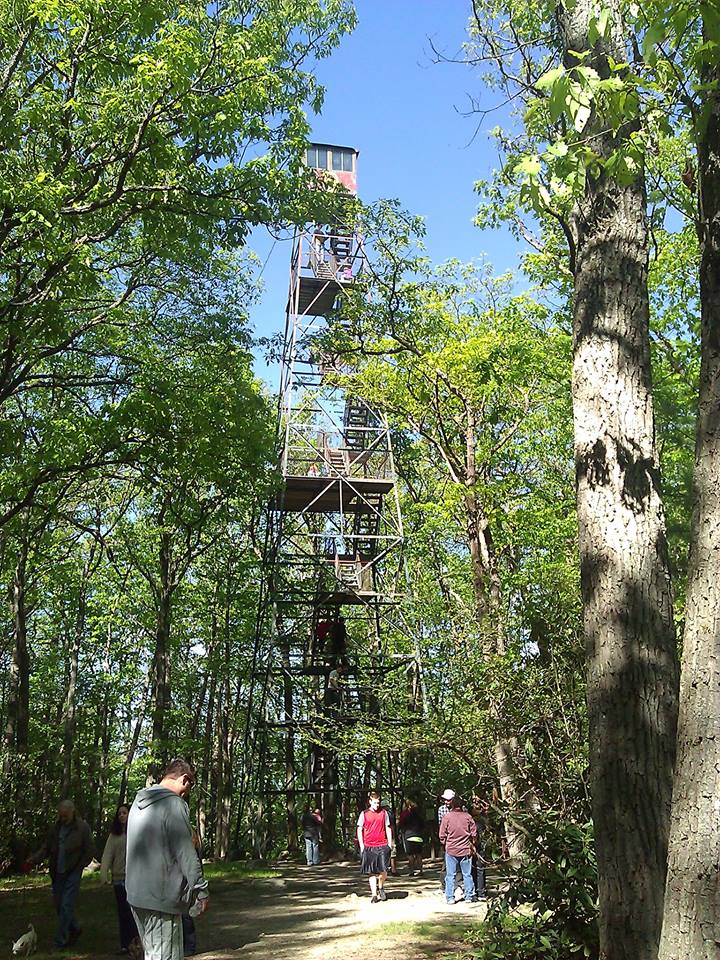 Membership Cook Forest || Cook Forest Membership - Businesses